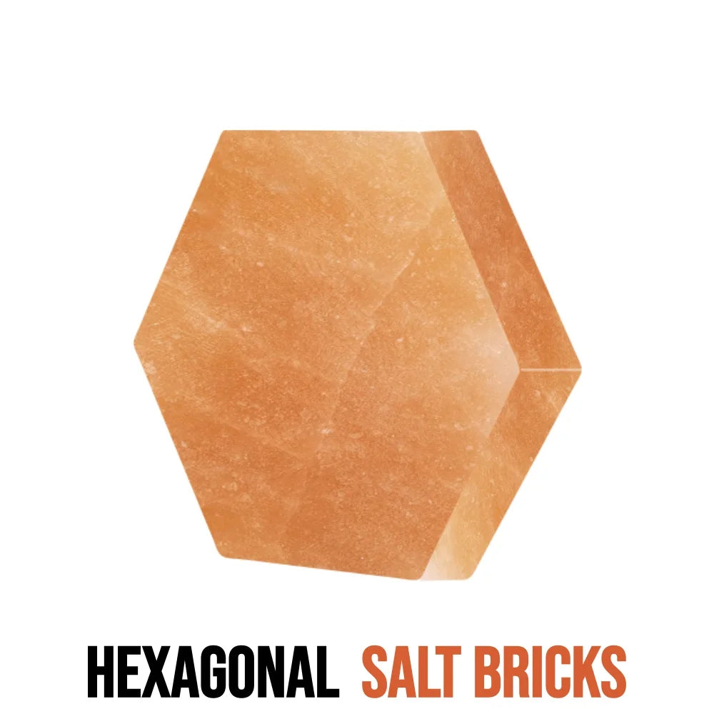 Bulk Himalayan Salt Hexagonal Bricks - Himalayan Salterz